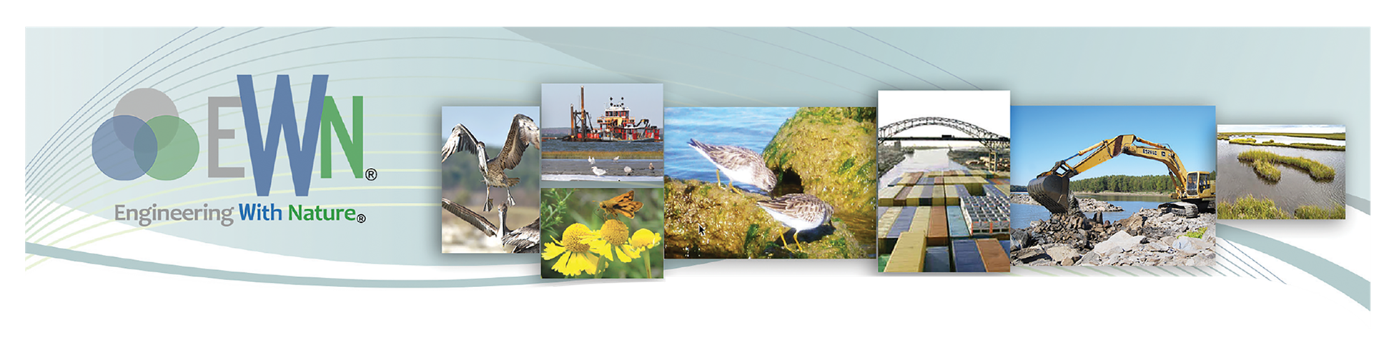 EWN_Vol3_Nomination_AGOL